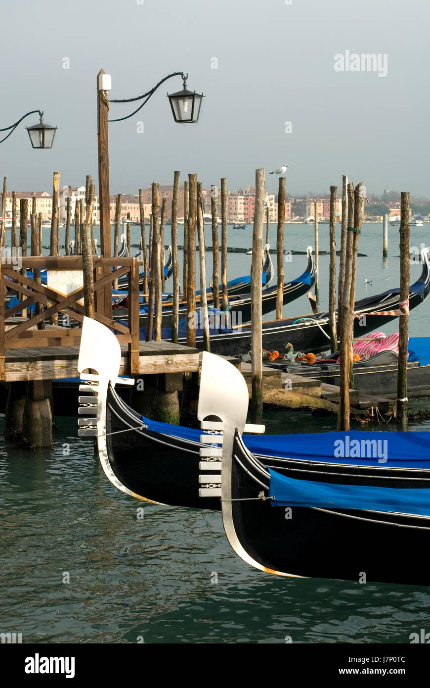 blue famous black swarthy jetblack deep black venice blank european ...