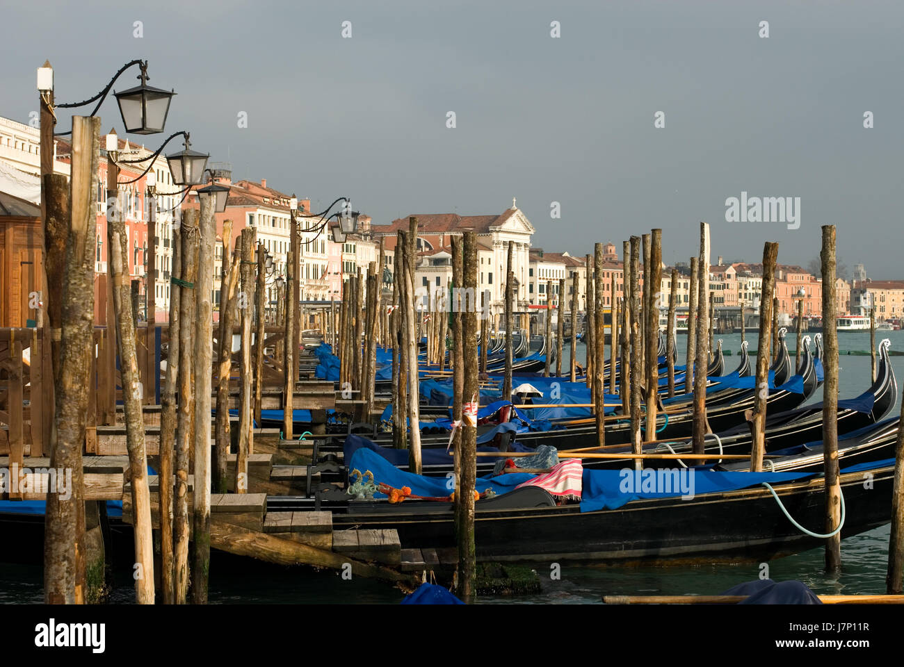 blue famous black swarthy jetblack deep black venice blank european ...