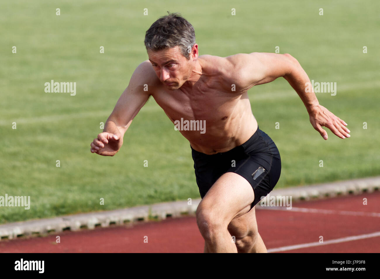 contest sport jog athletics sprinter athlete sports run running runs ...