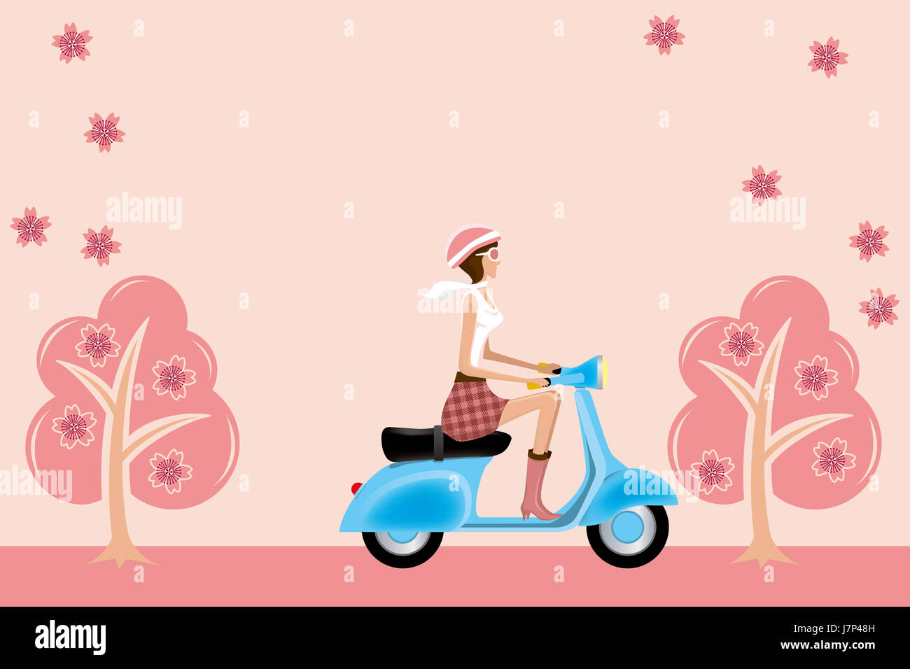 female flower plant bloom blossom flourish flourishing sunflower spring ...