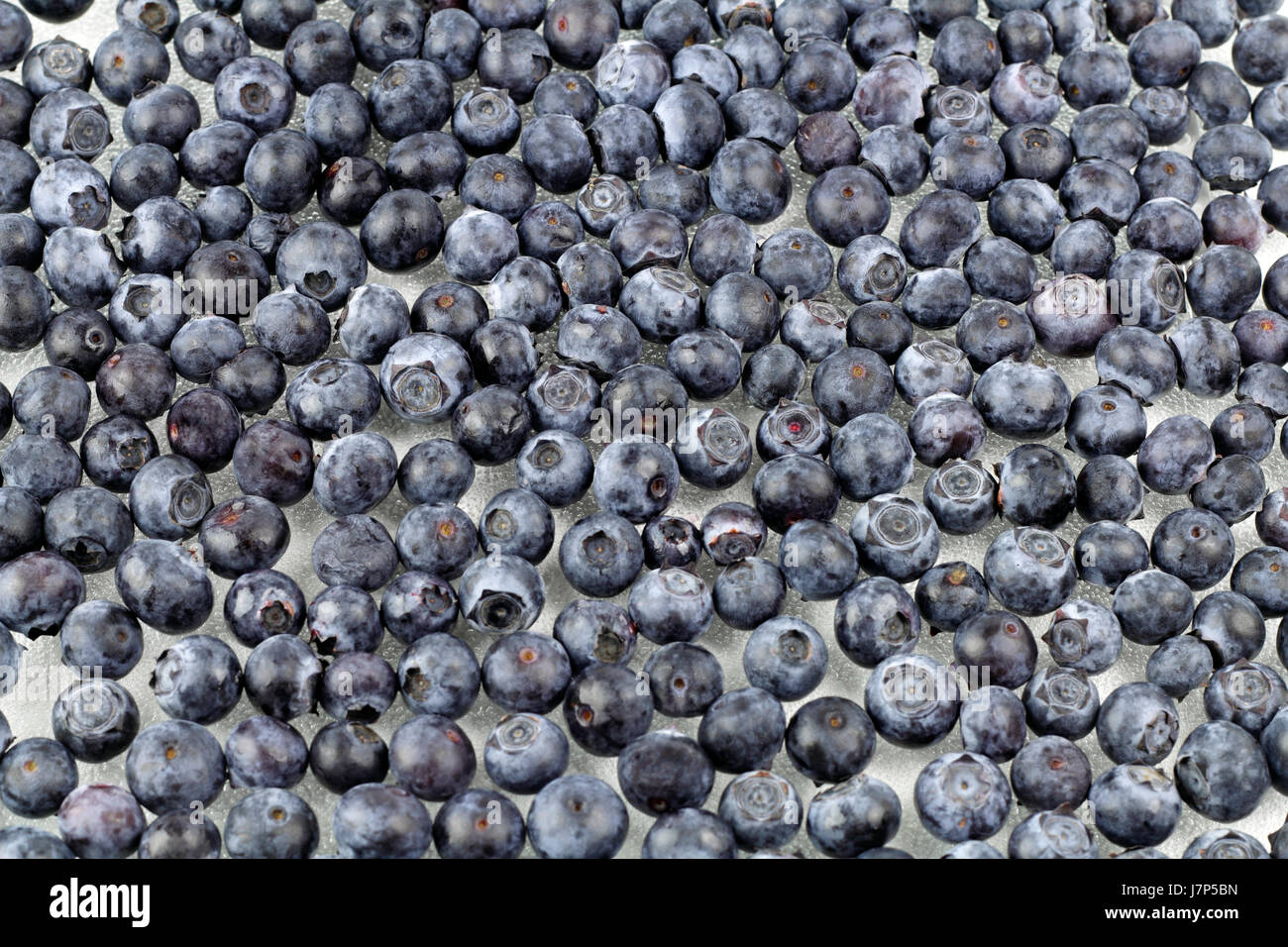 blue food aliment fruit berry bilberries blueberries blueberry backdrop ...