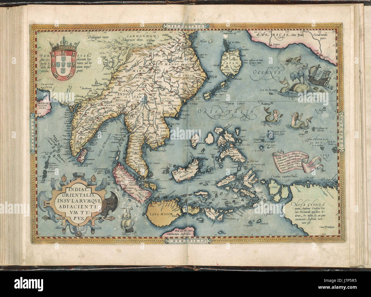 Ppn design hi-res stock photography and images - Alamy