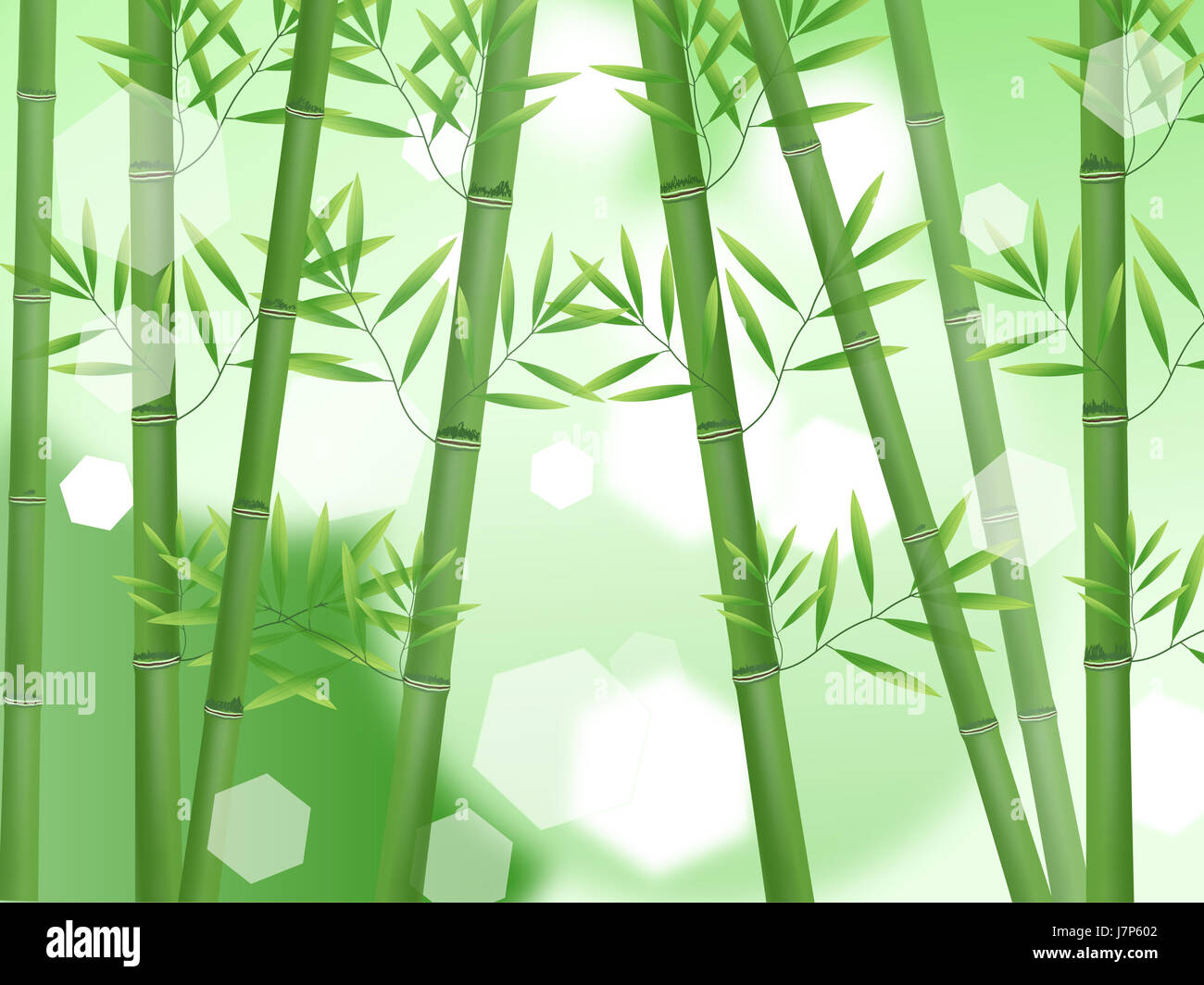 asia chinese backdrop background border couple environment asia ...