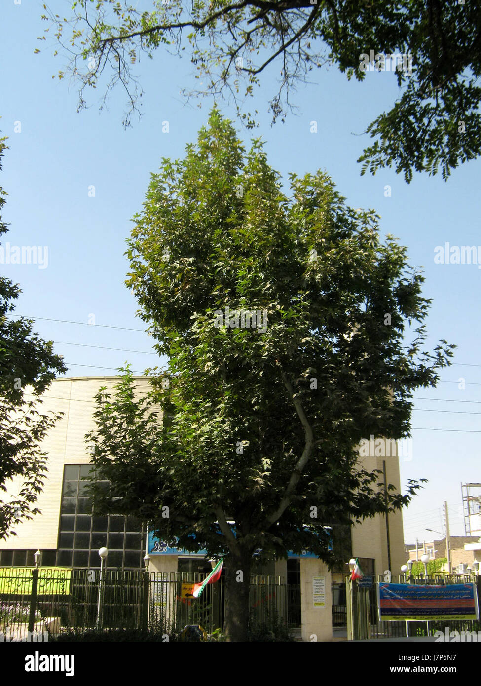 Shahrivar hi-res stock photography and images - Alamy