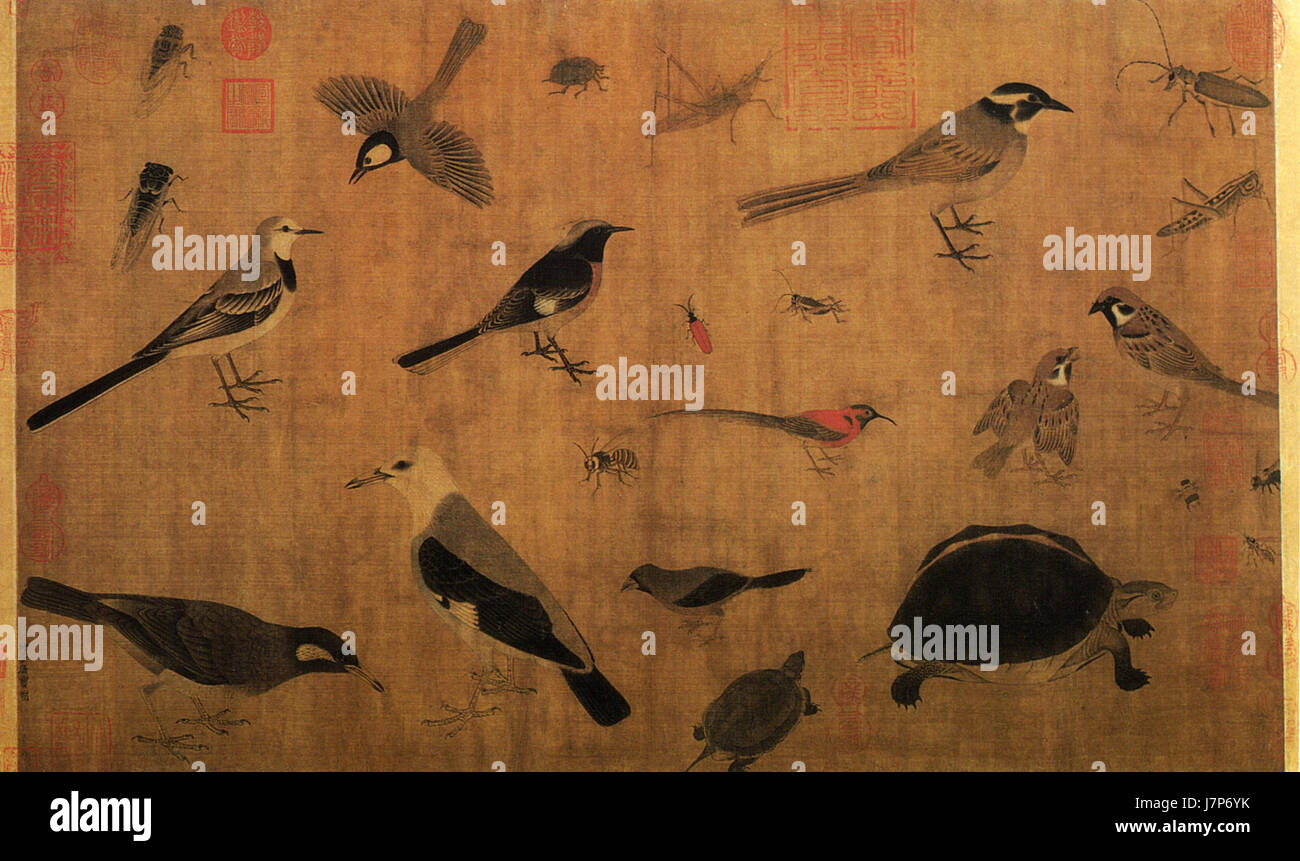 Huang Quan's 'Croquis d'oiseaux et d'insectes' features sketches of ...