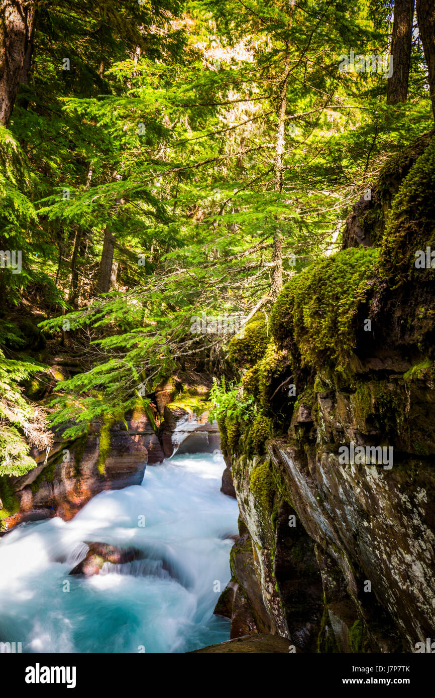 rushing water brook stream current gorge montana glacier garden wall ...