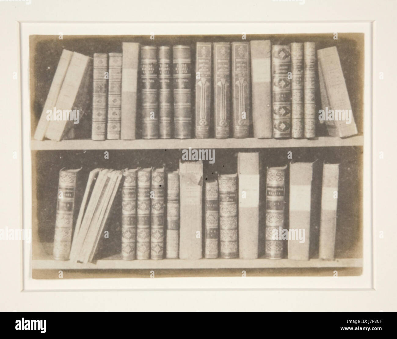 A Scene in a Library Plate VIII from The Pencil of Nature by William ...