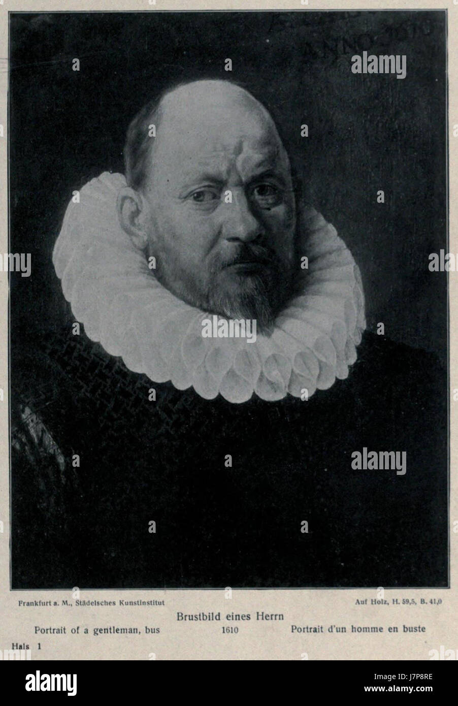 Ruff collar hi-res stock photography and images - Alamy