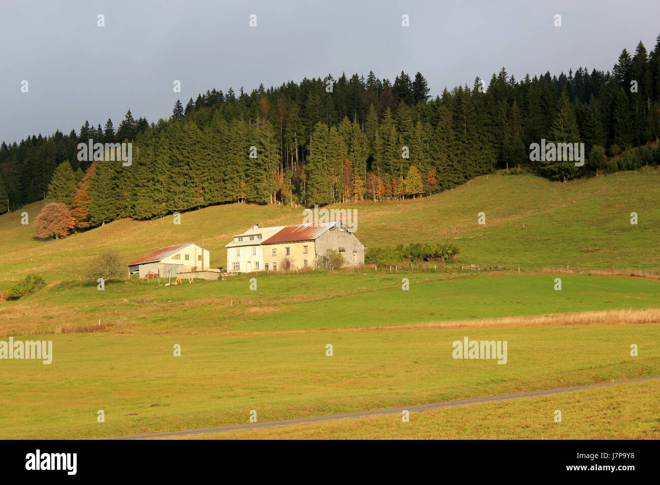 house building tree trees field home landscape scenery countryside ...
