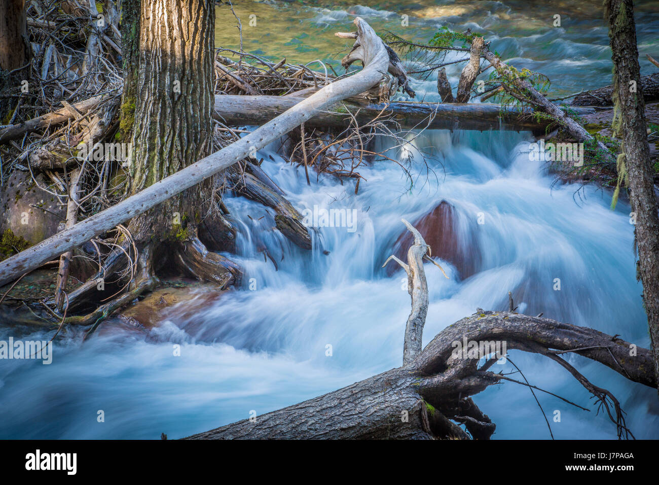 rushing water brook stream current gorge montana glacier garden wall ...