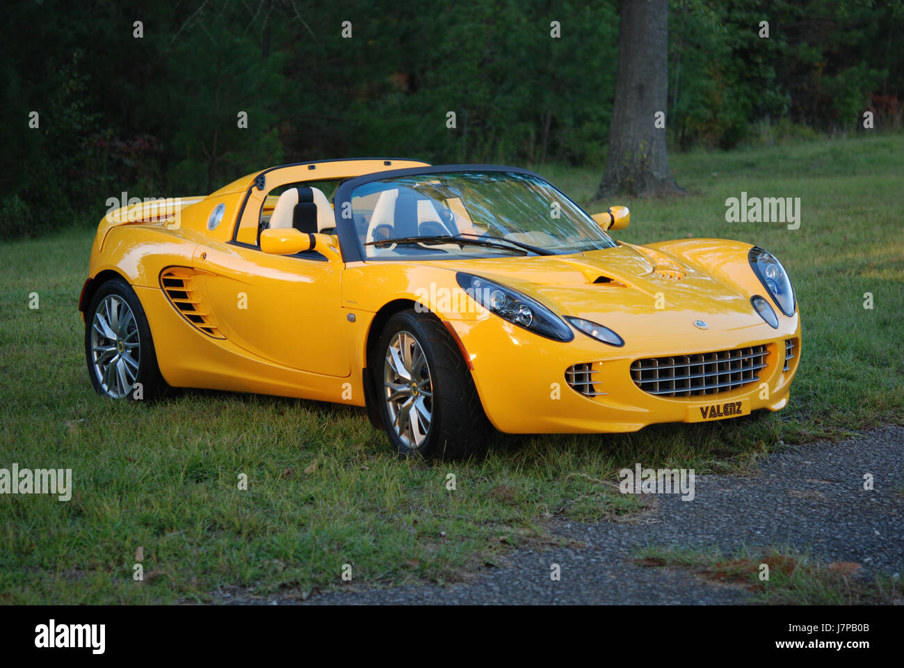 The '2008 Saffron Yellow Elise California Edition' refers to a limited ...