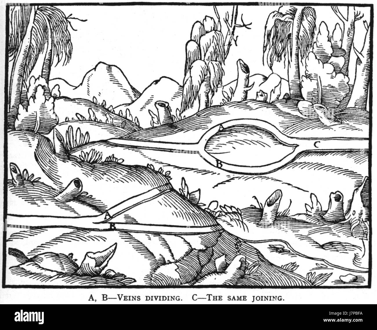 Thoughtful subject Black and White Stock Photos & Images - Alamy