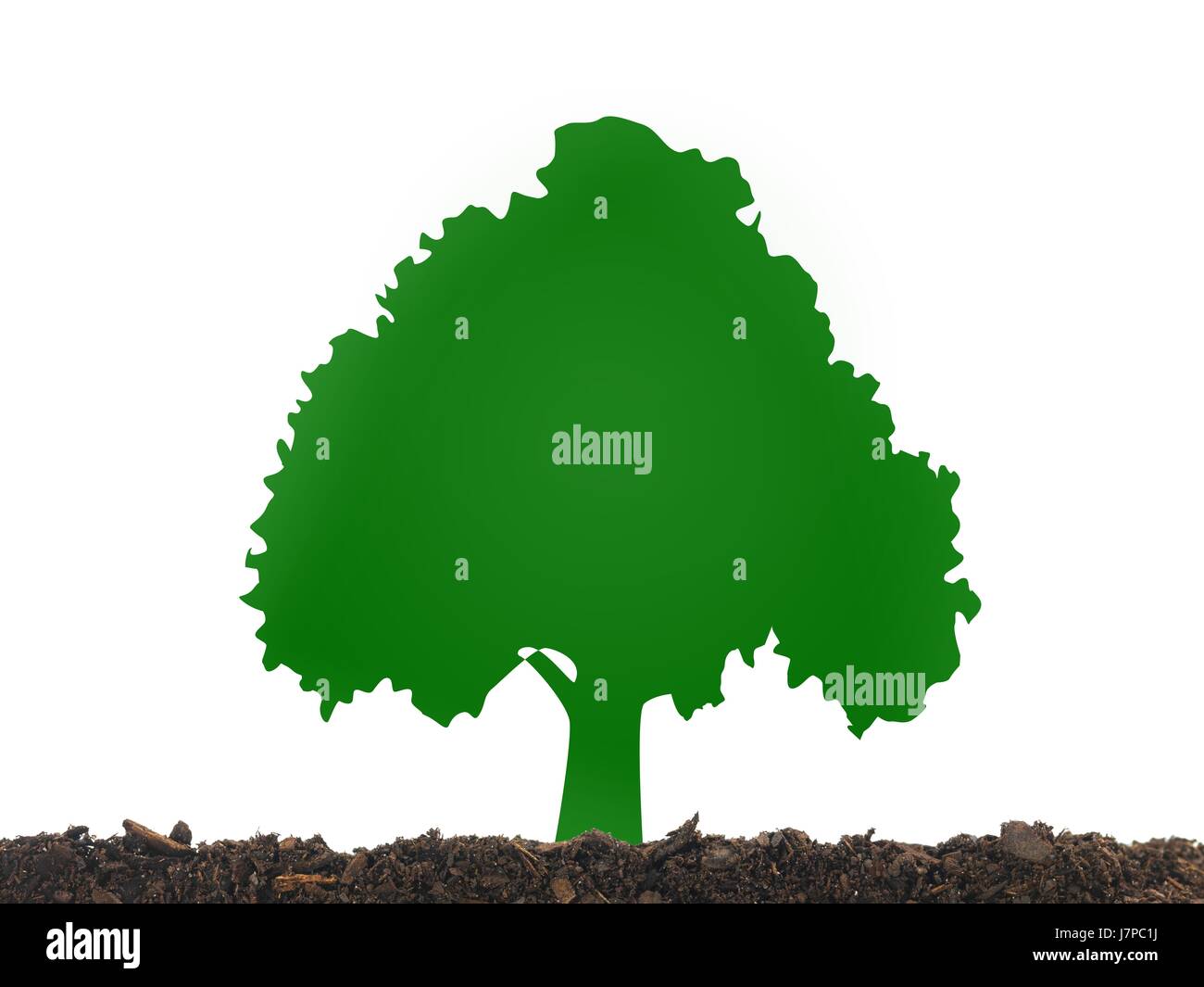 close environment enviroment isolated closeup tree ground soil earth ...