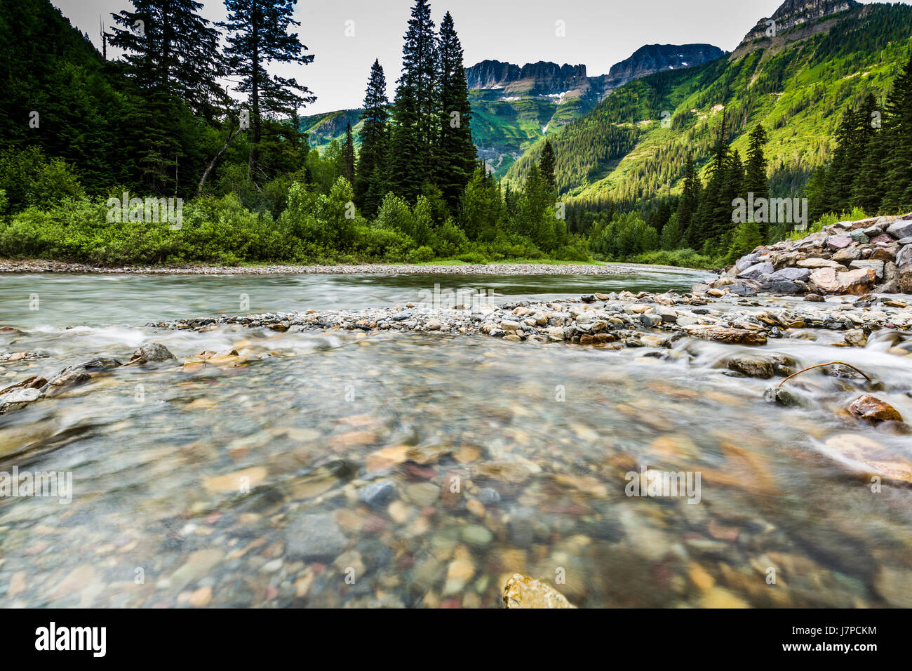 stream chute water rocks waterfall glacier national park flow Stock ...