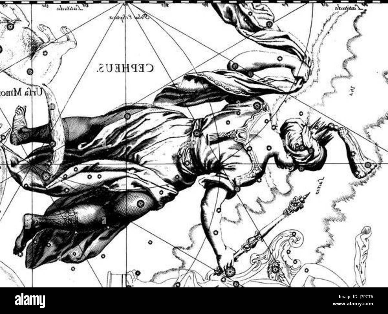 *Cepheus*, a constellation in the northern sky, was named by the ...