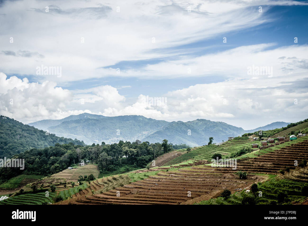 Beautiful natural in Mon Cham (Mon Jam) mountain, Mae Rim, famous ...
