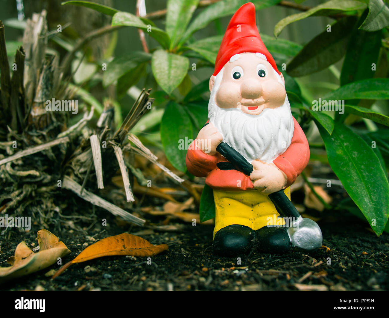 Decorative gnome hi-res stock photography and images - Alamy