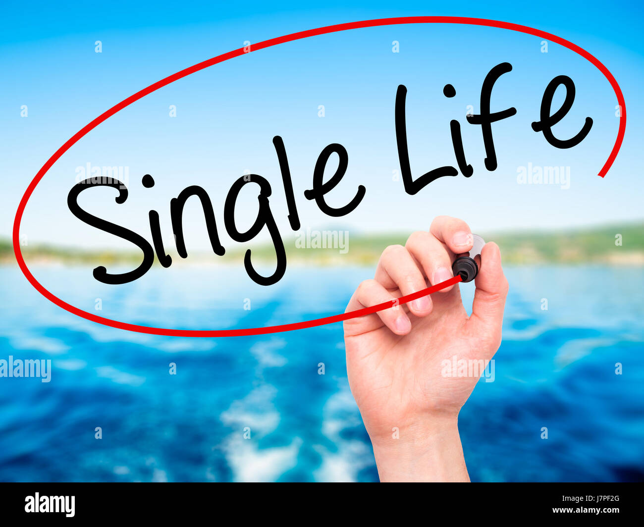 Man Hand writing Single Life with black marker on visual screen ...