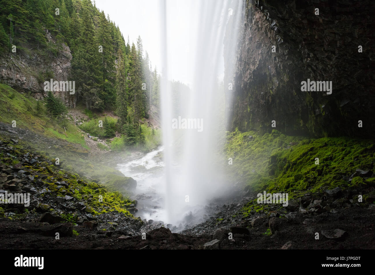 Tamanawas Falls, Oregon Stock Photo - Alamy