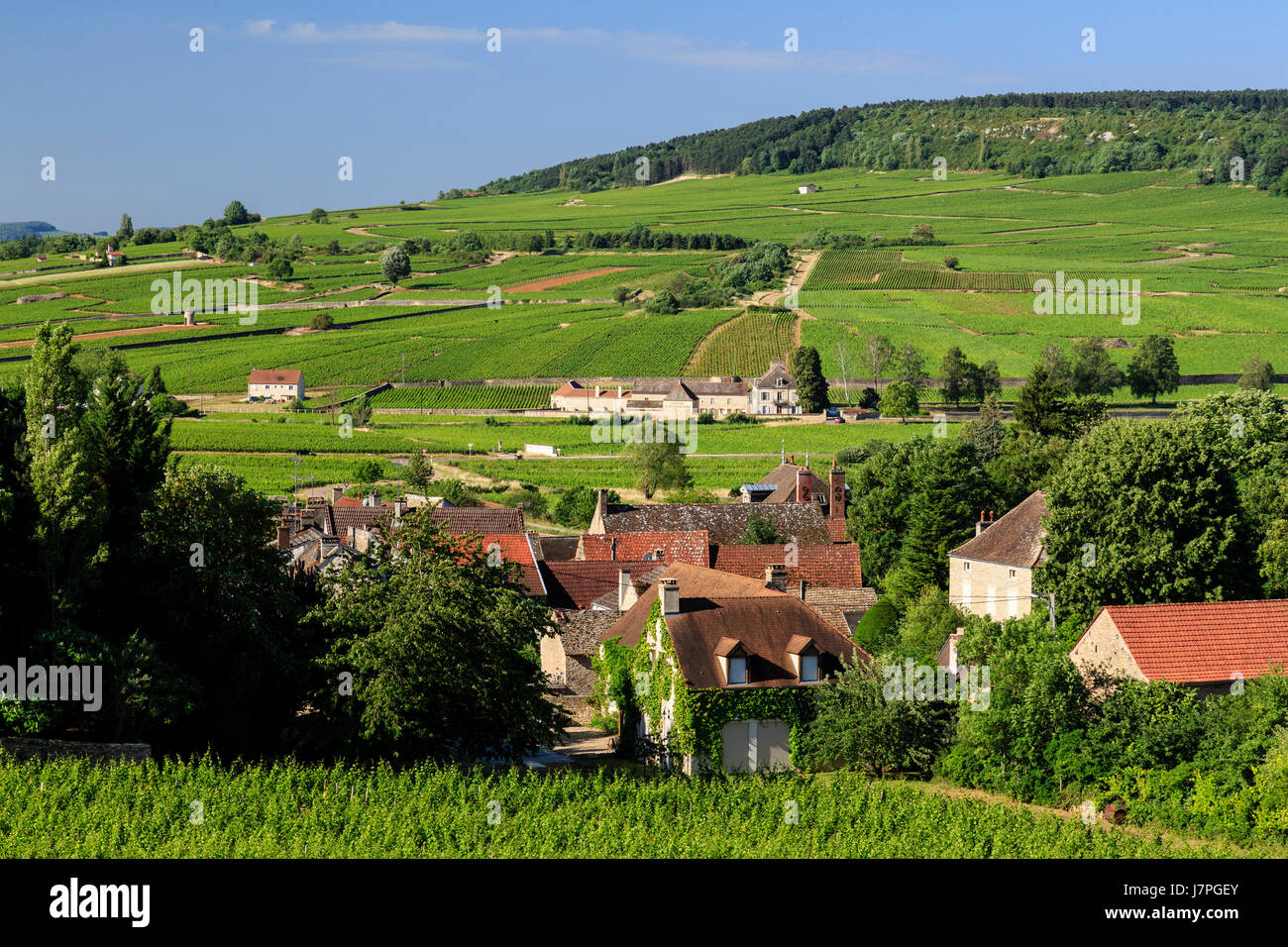 Burgundy france vineyard hi-res stock photography and images - Alamy