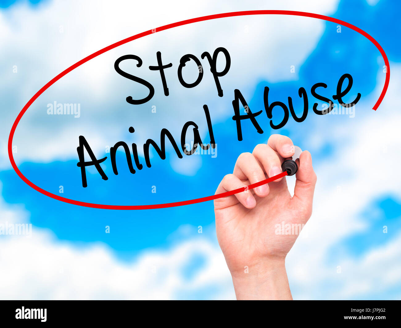 Man Hand writing Stop Animal Abuse with black marker on visual screen ...