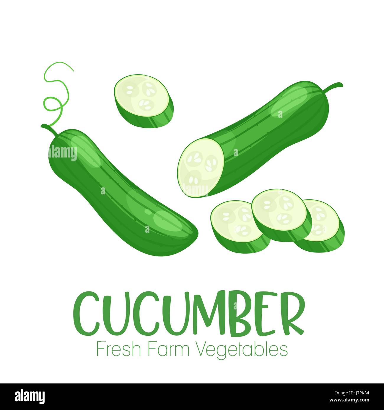 Vector cucumber isolated on white background.Vegetable illustration for ...