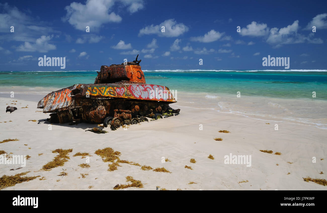 the shell of culebra Stock Photo - Alamy
