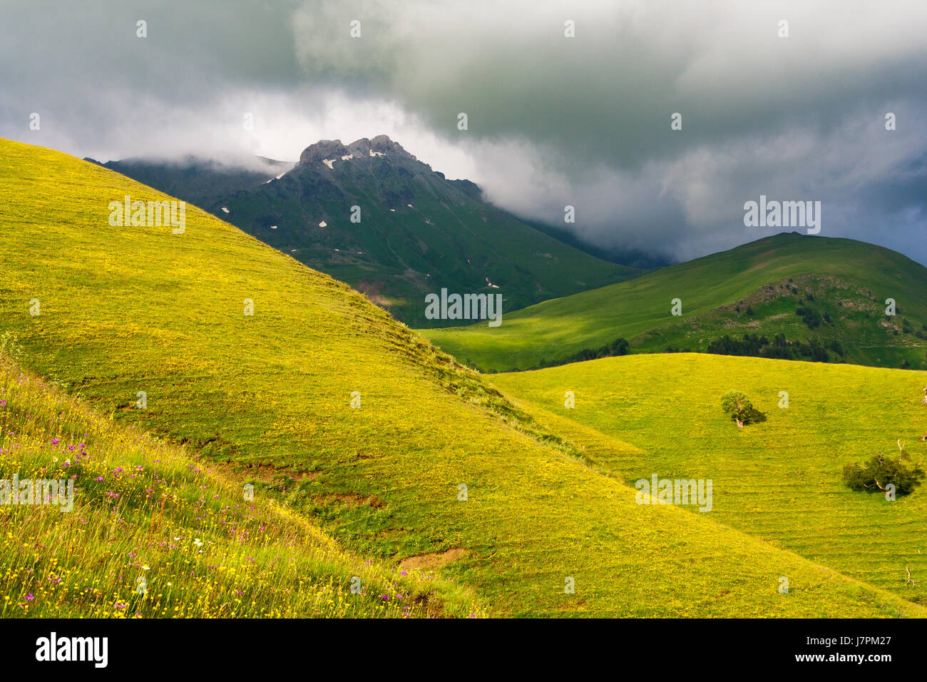 Alpine valley in the Caucasus. Western Caucasus, Russia Stock Photo - Alamy
