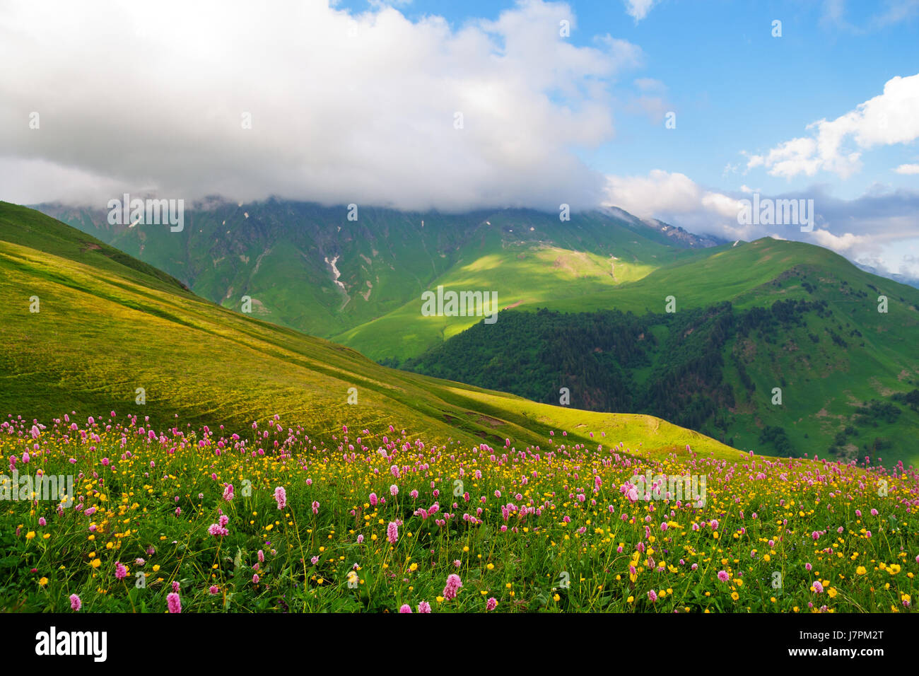 Alpine valley in the Caucasus. Western Caucasus, Russia Stock Photo - Alamy