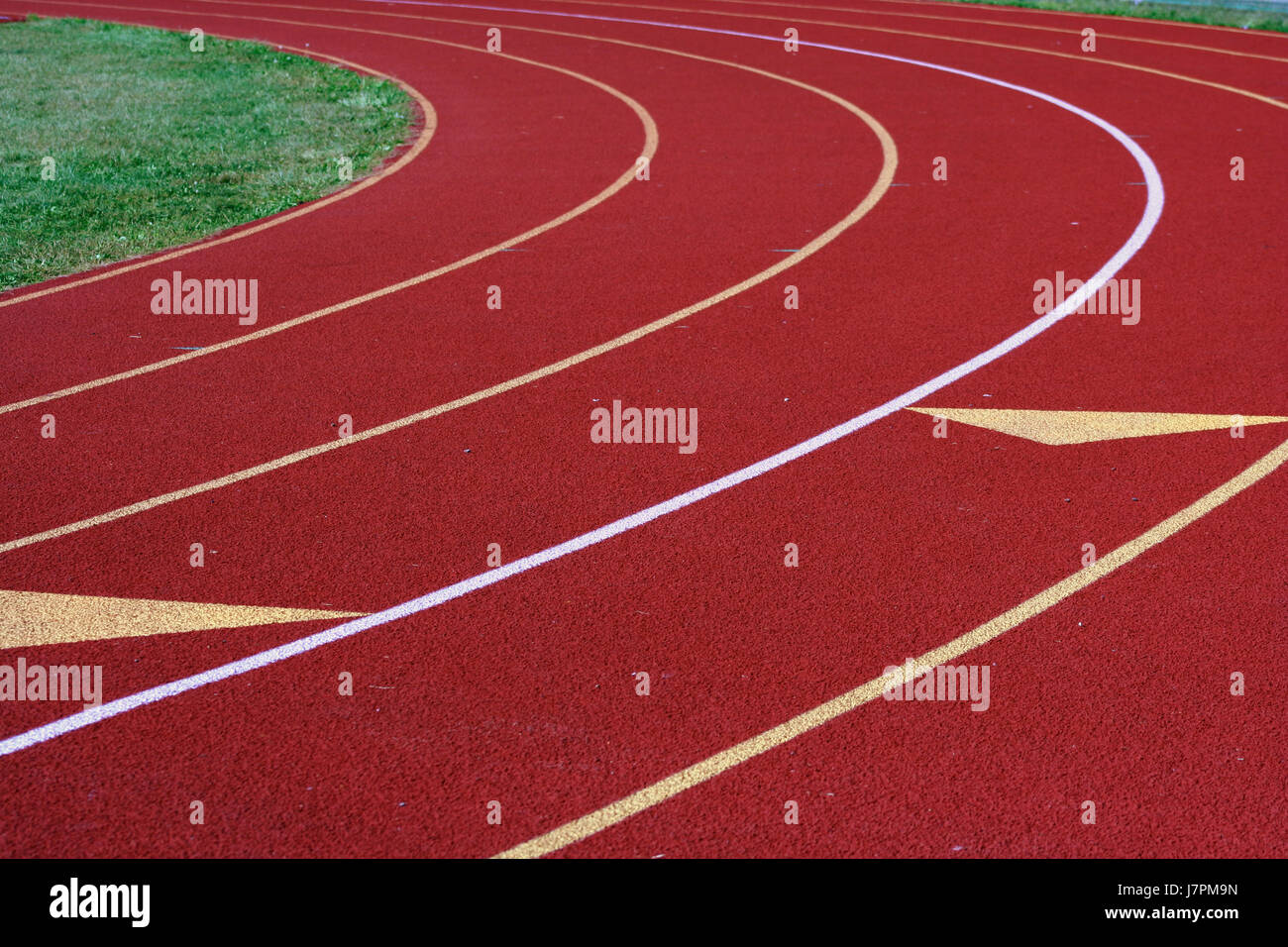 sport sports field lines track event stadium competitive sport ...