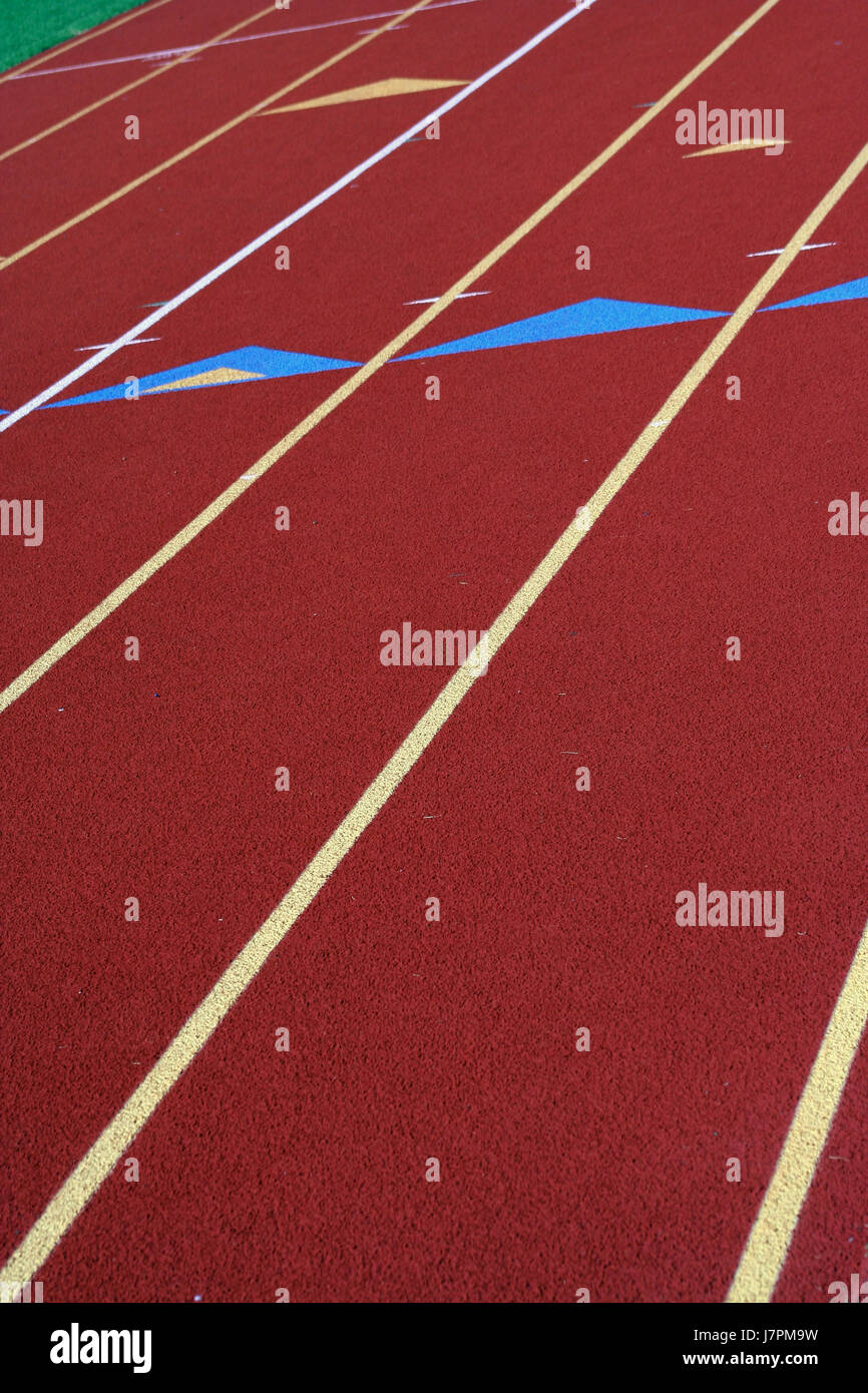 sport sports field lines track event stadium competitive sport ...