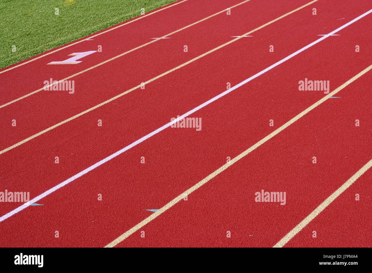 sport sports field lines track event stadium competitive sport ...