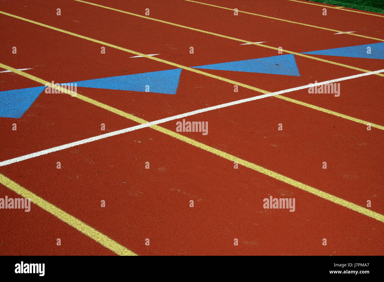 sport sports field lines track event stadium competitive sport ...