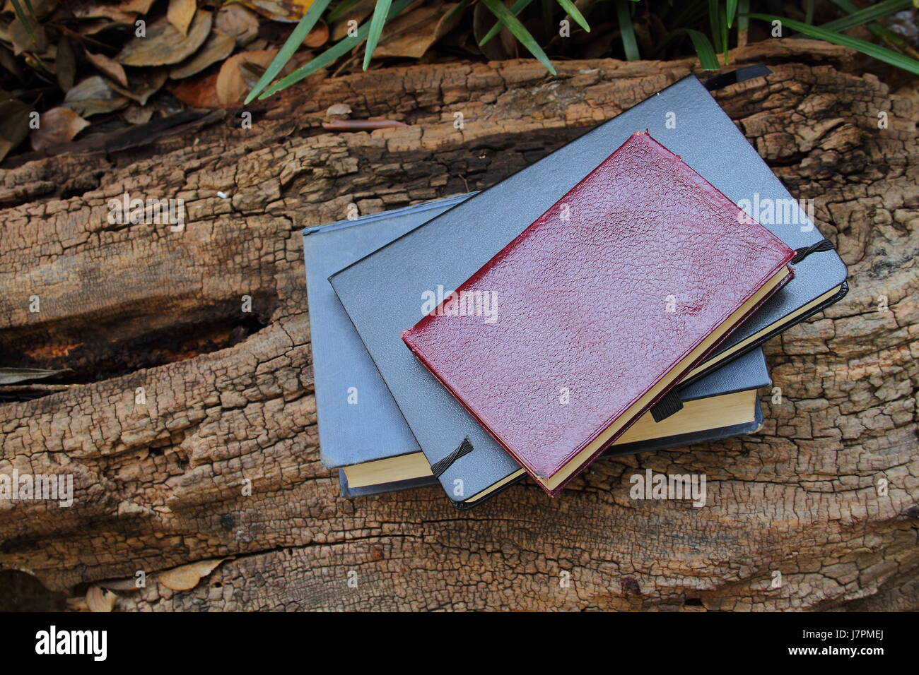 Still life - books outdoors - books isolated in an outdoor setting ...