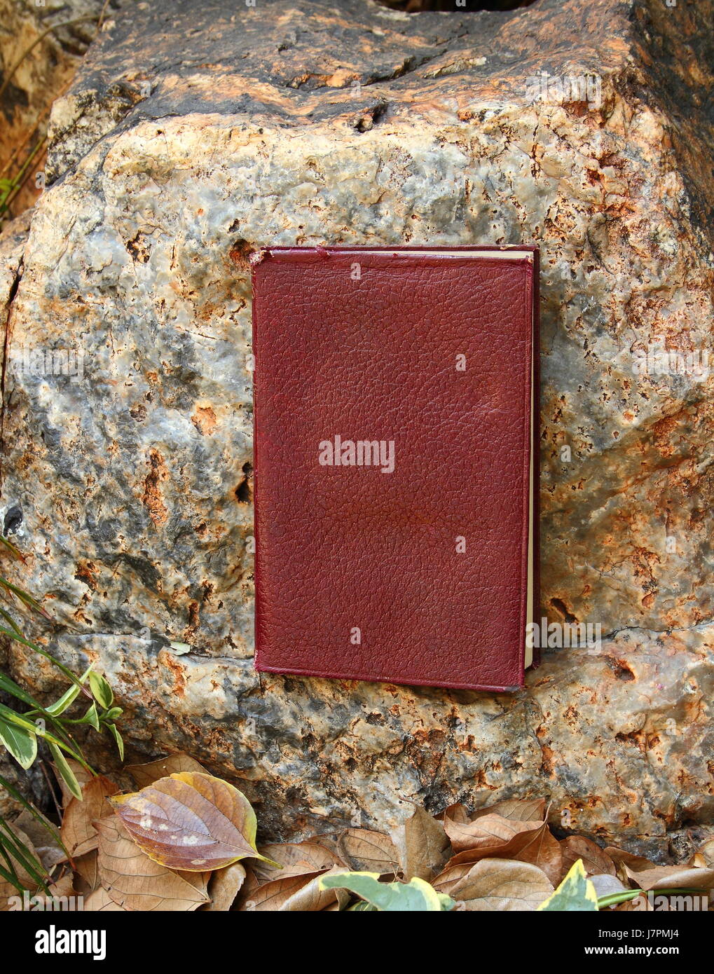 Still life - books outdoors - books isolated in an outdoor setting ...