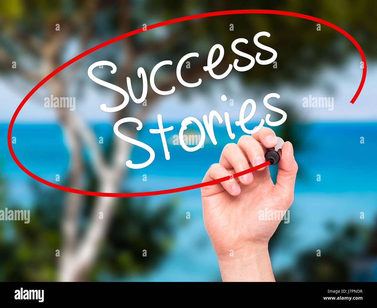 Man Hand writing Success Stories with black marker on visual screen ...