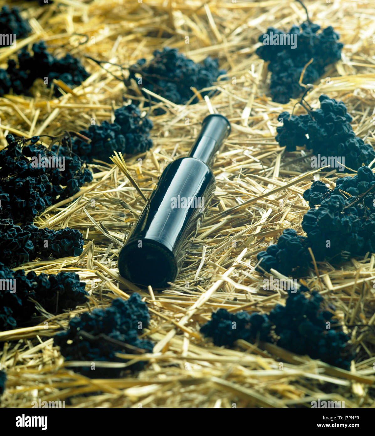 wine straw still life drinks object objects inside drink drinking bibs ...