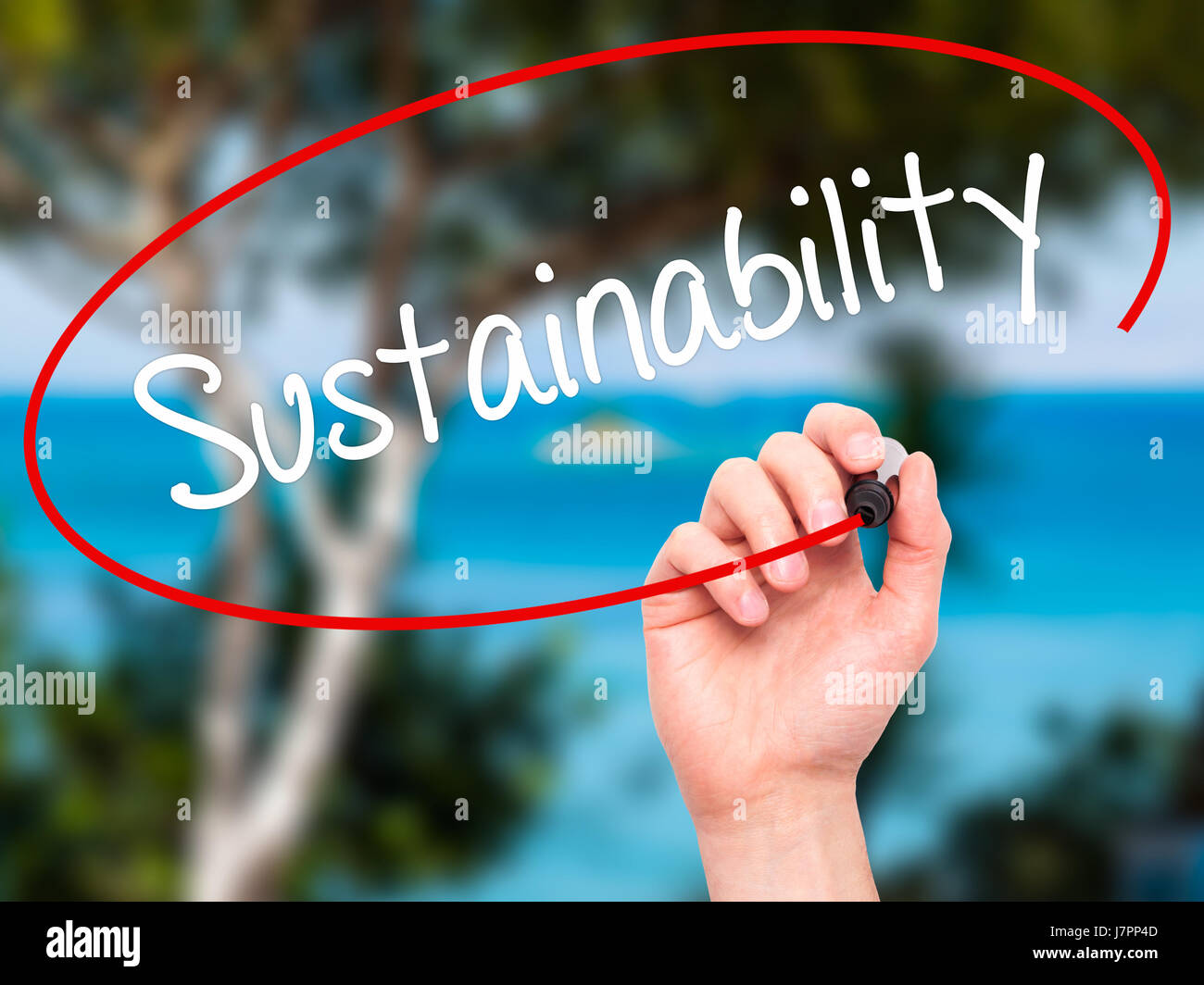 Man Hand writing Sustainability with black marker on visual screen ...