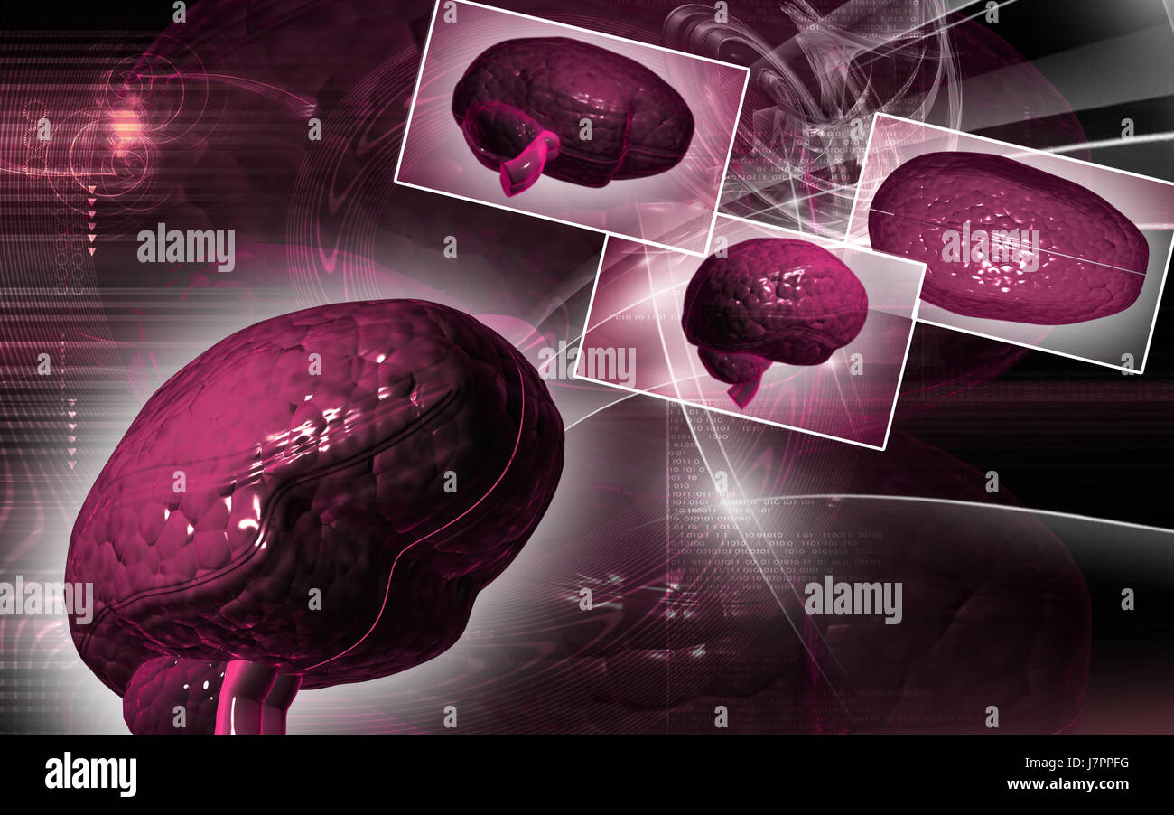 health medicinally medical graphics colour human human being ...