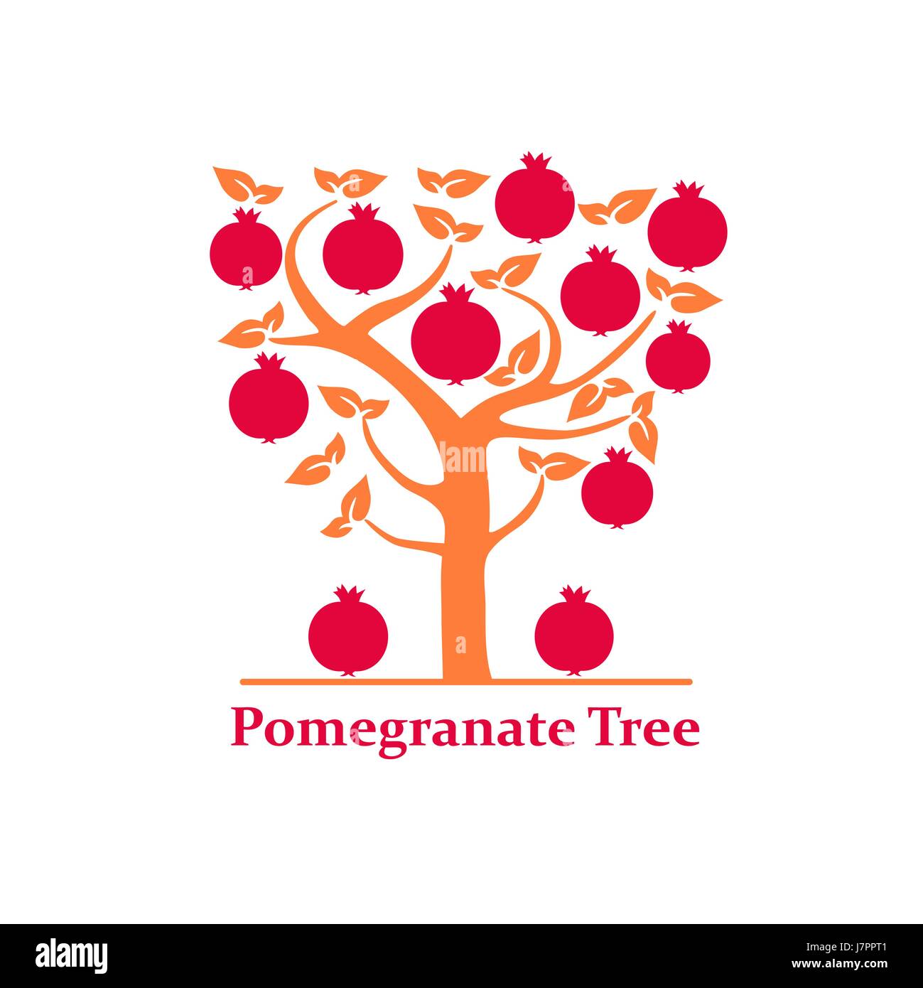 Pomegranate tree isolated Stock Vector Image & Art - Alamy