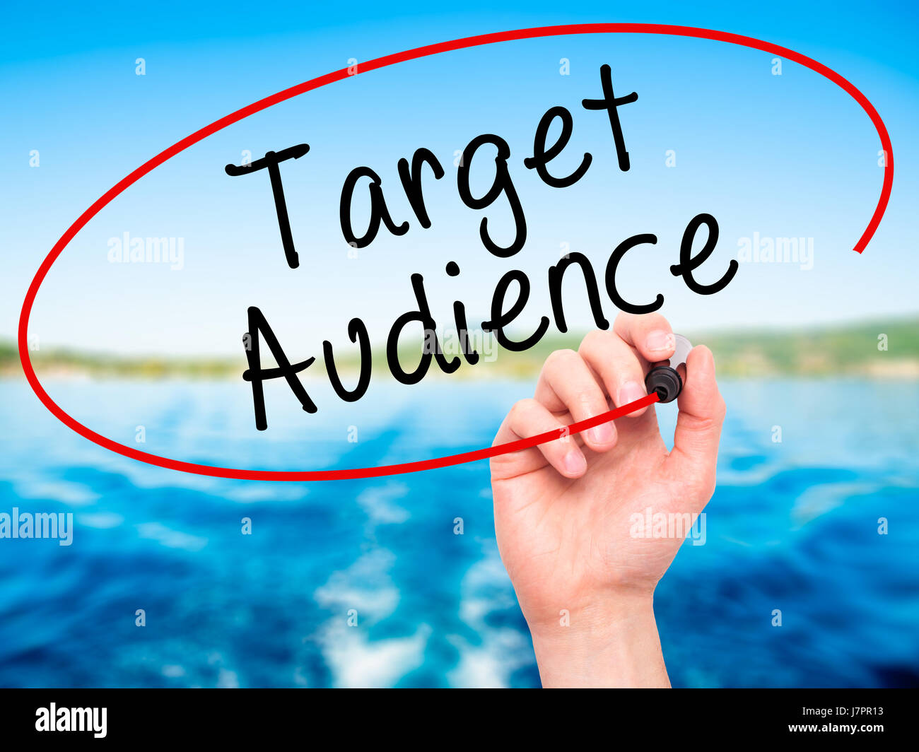 Man Hand writing Target Audience with black marker on visual screen ...