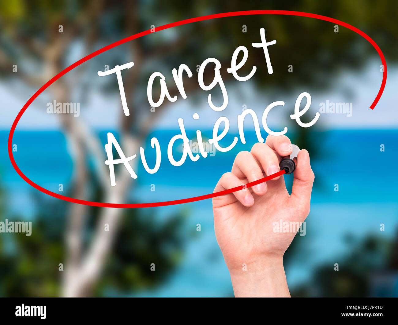 Man Hand writing Target Audience with black marker on visual screen ...