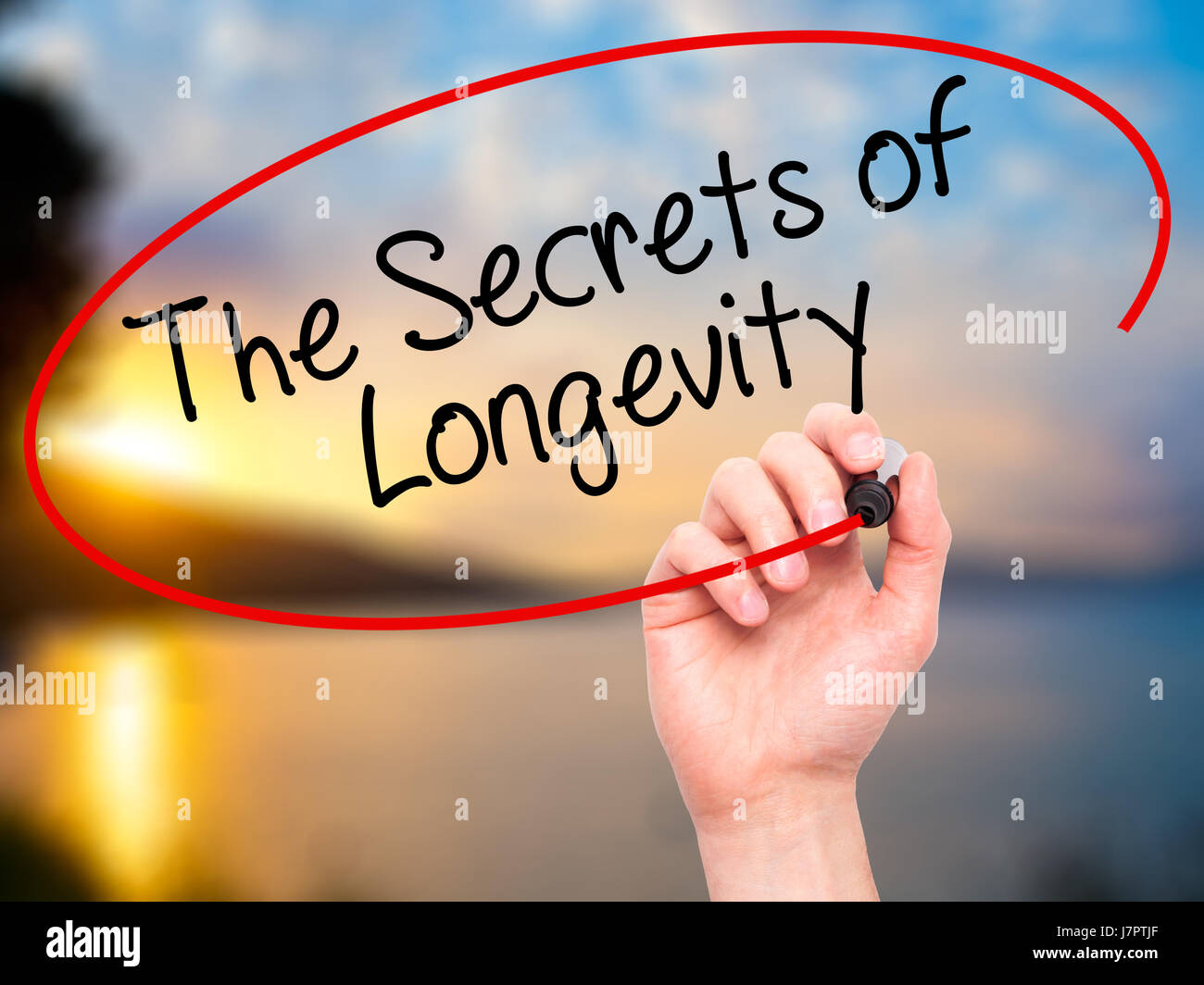 Man Hand writing The Secrets of Longevity with black marker on visual ...