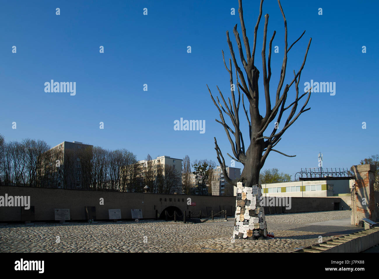 Memorial tree in Pawiak Prison Museum in Warsaw, Poland © Wojciech ...