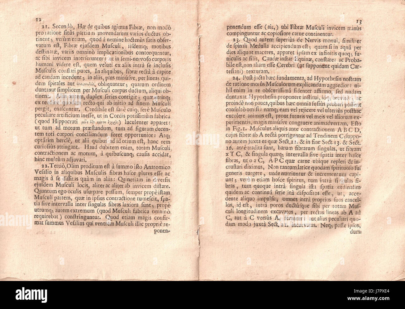 Motus hi-res stock photography and images - Alamy