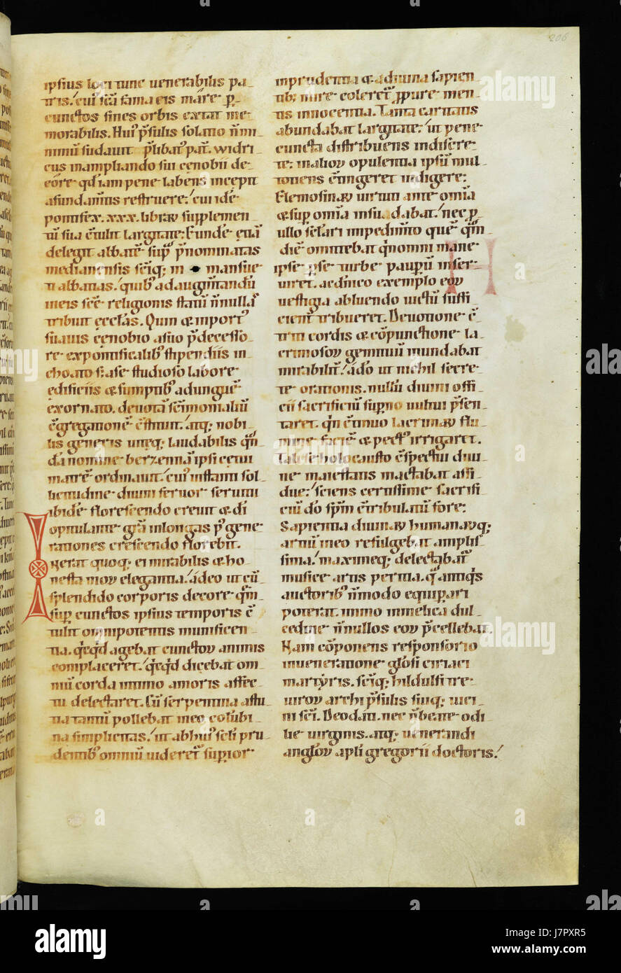 Codex Bodmer 127 206r is a manuscript from the Bodmer collection ...