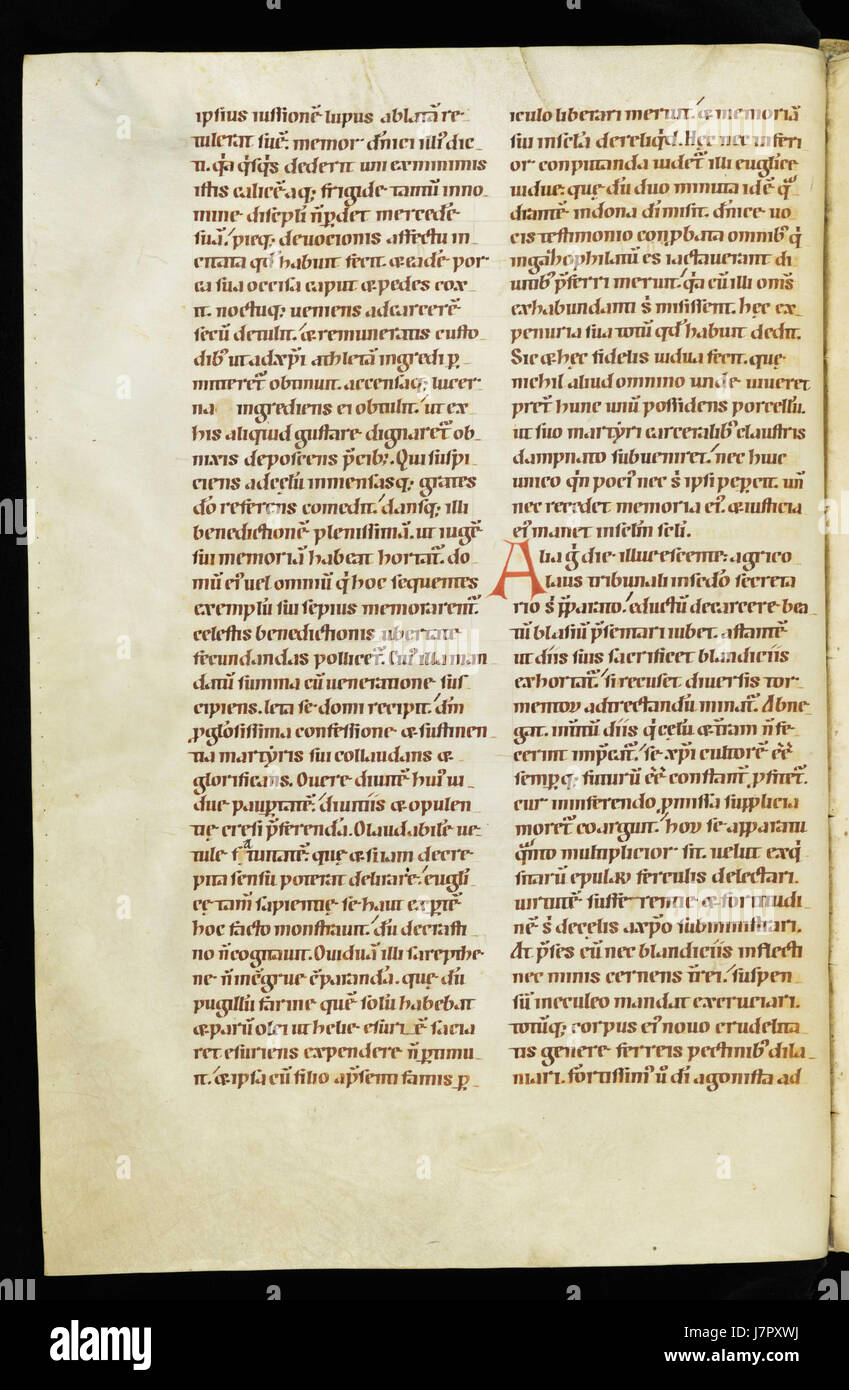 Codex Bodmer 127 036v is a manuscript from the Bodmer collection ...