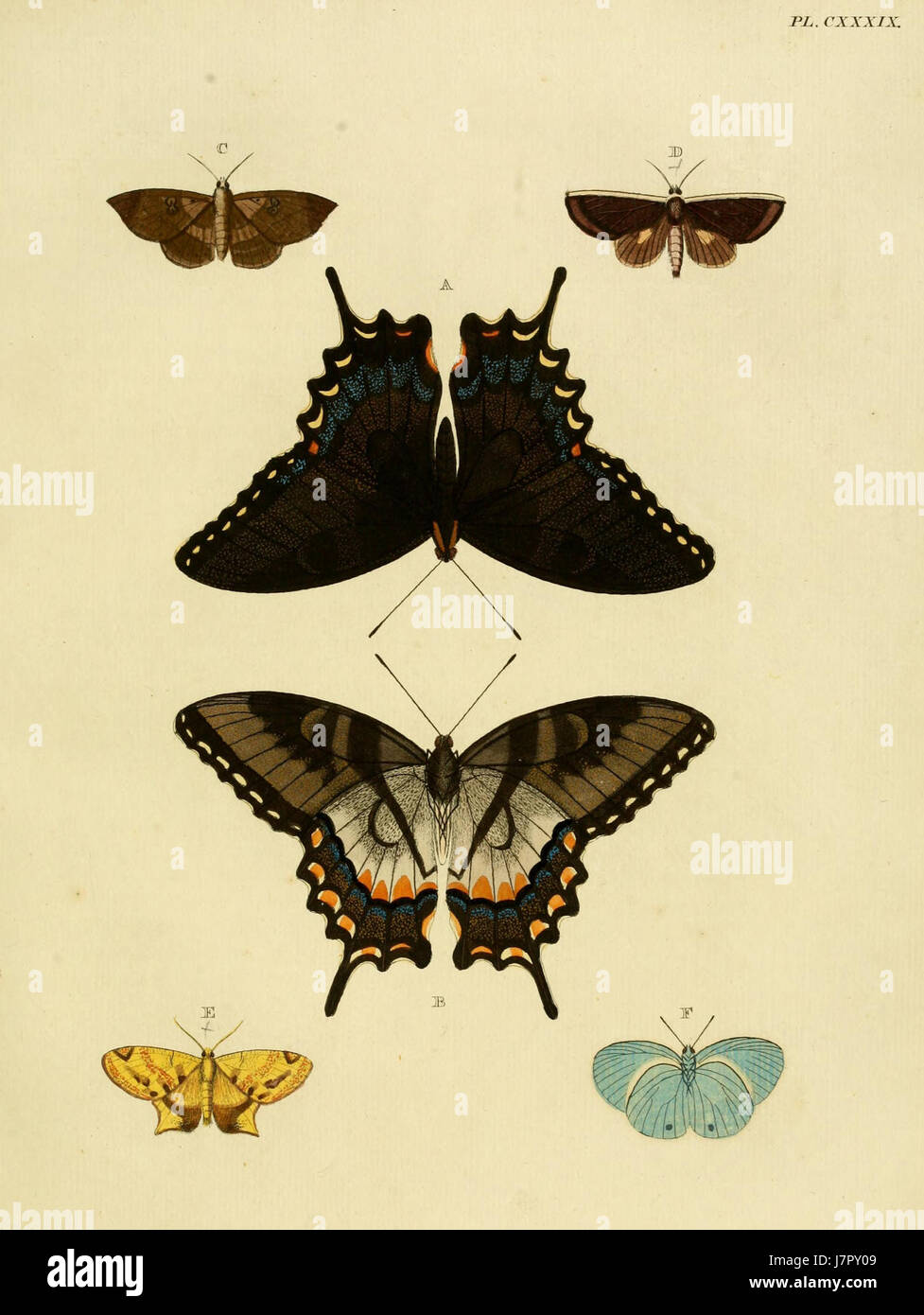 This illustration from *Cramer & Stoll's* work *Uitlandsche Kapellen ...