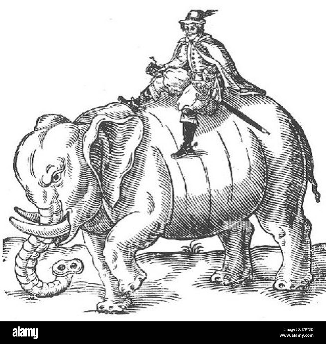 Thomas coryate Cut Out Stock Images & Pictures - Alamy