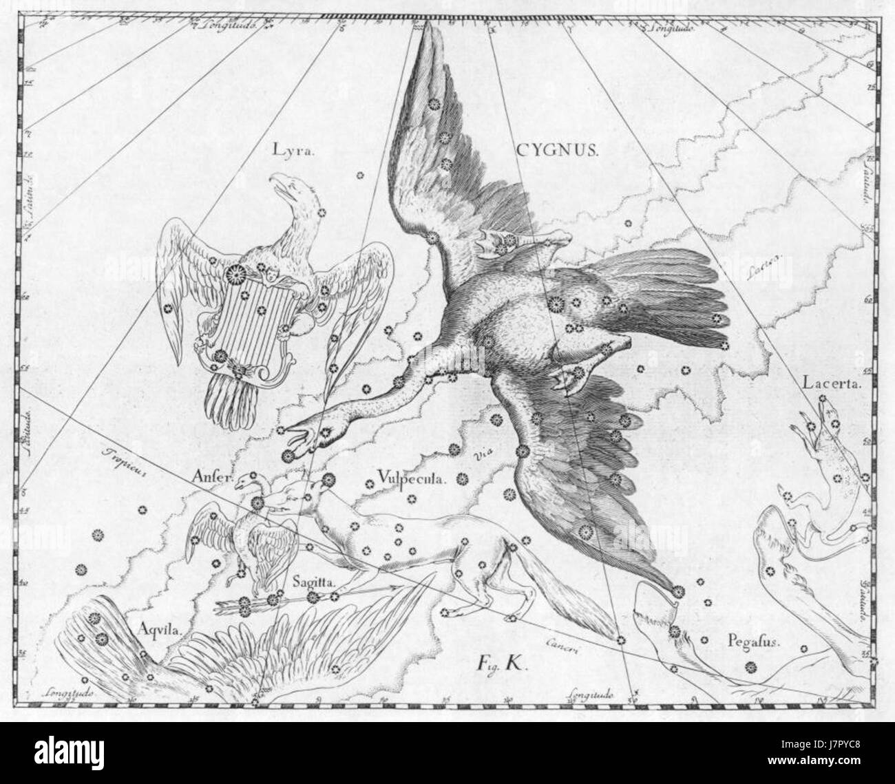 Cygnus constellation hi-res stock photography and images - Alamy